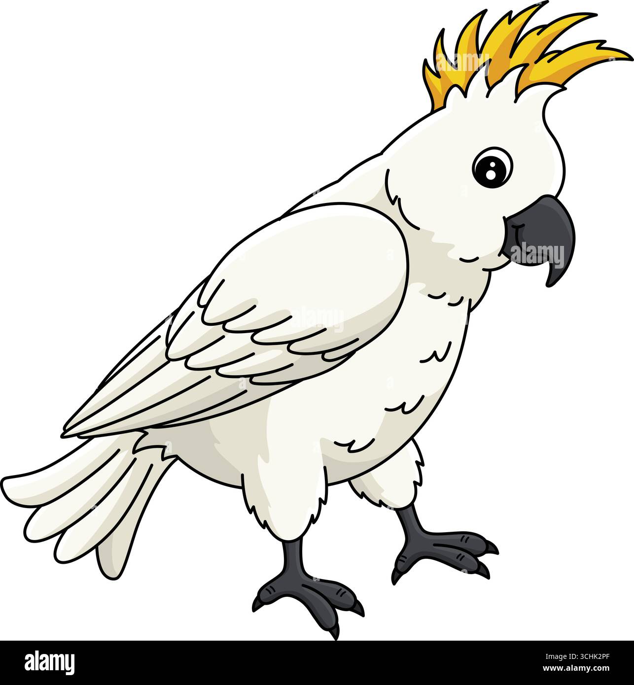 Bird Cockatoo Animal Cartoon Colored Clipart Stock Vector Image & Art ...