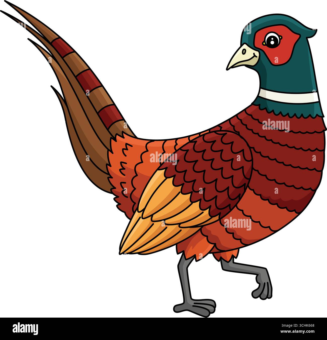 Bird Common Pheasant Cartoon Colored Clipart Stock Vector Image & Art ...