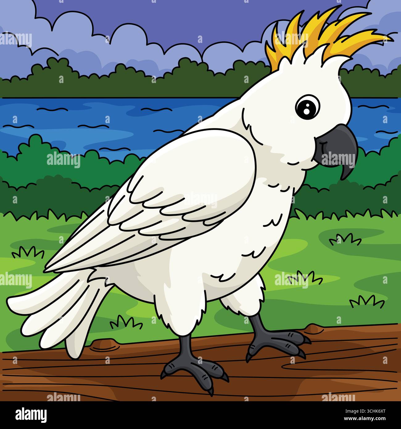 Bird Cockatoo Animal Colored Cartoon Illustration Stock Vector Image ...