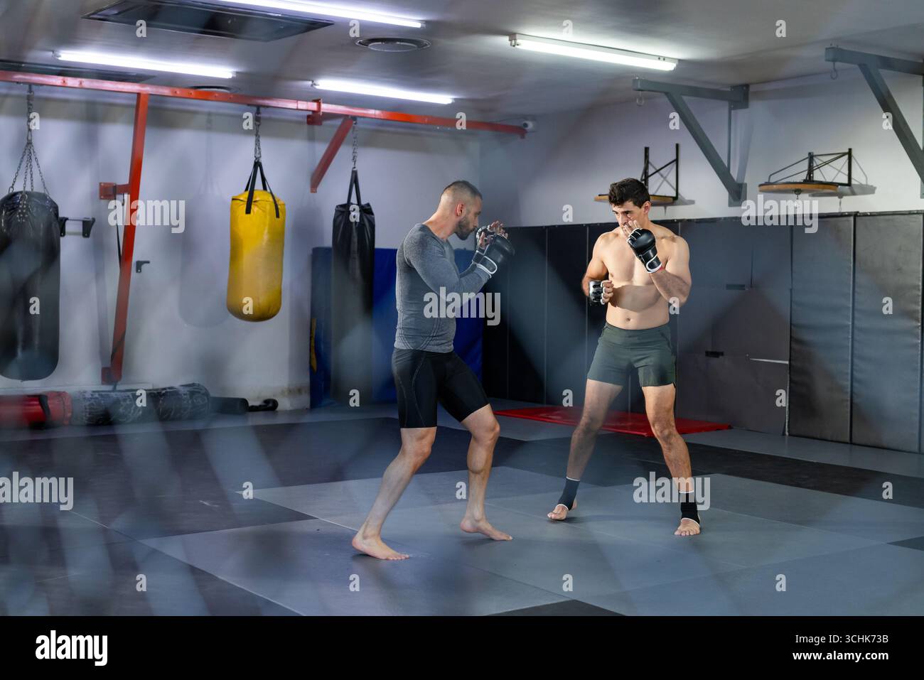 Diverse male fighters practicing sparring at mma gym on mats with ...