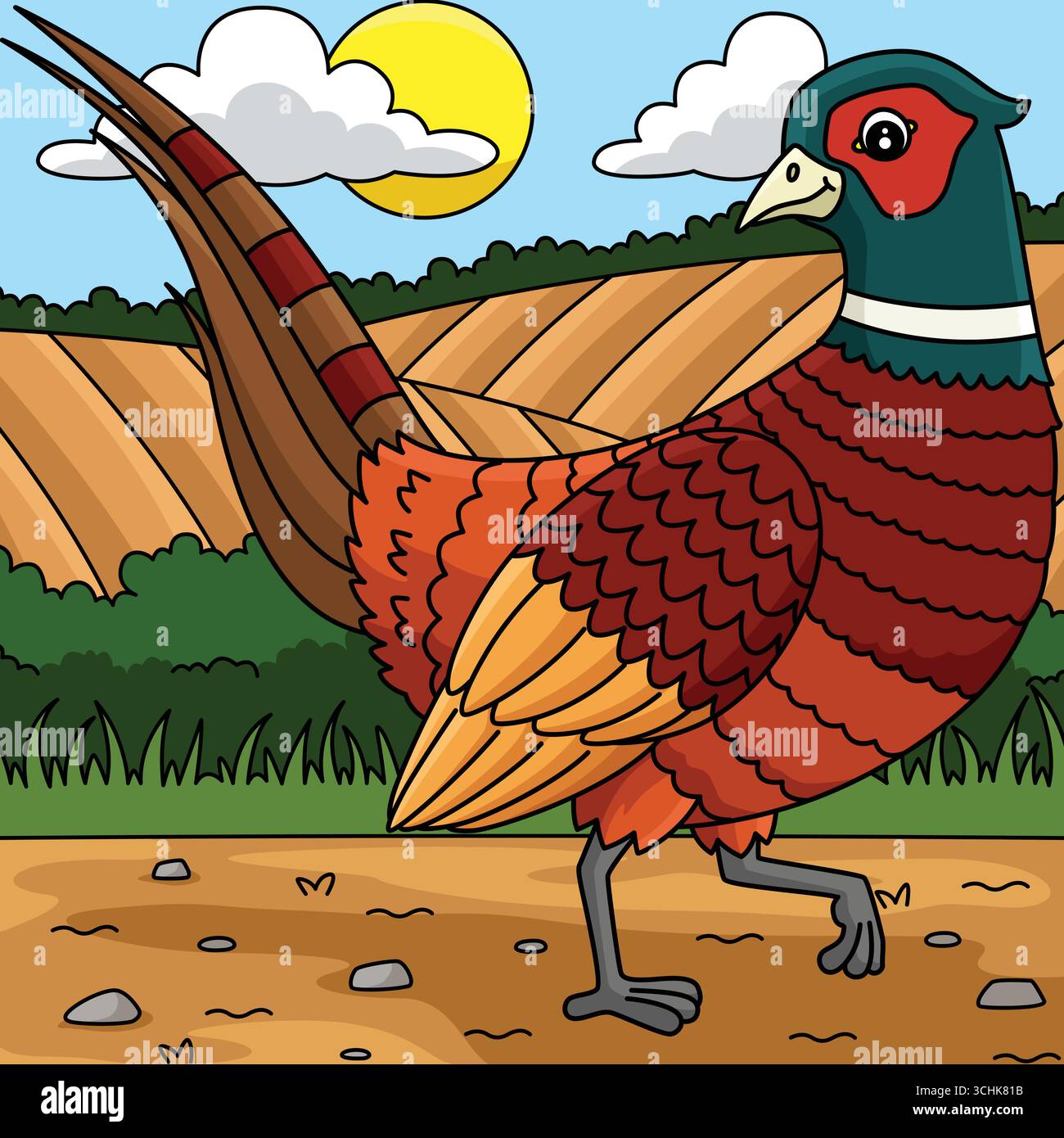 Bird Common Pheasant Colored Cartoon Illustration Stock Vector Image ...