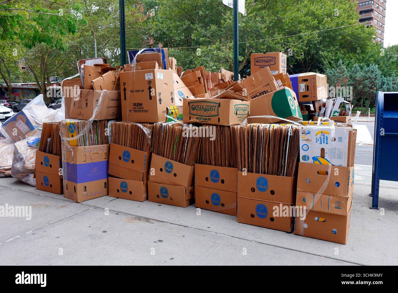 A large pile of discarded cardboard boxes placed curbside on a street ...