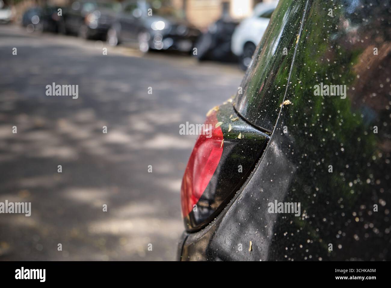 Tree sap car hi-res stock photography and images - Alamy