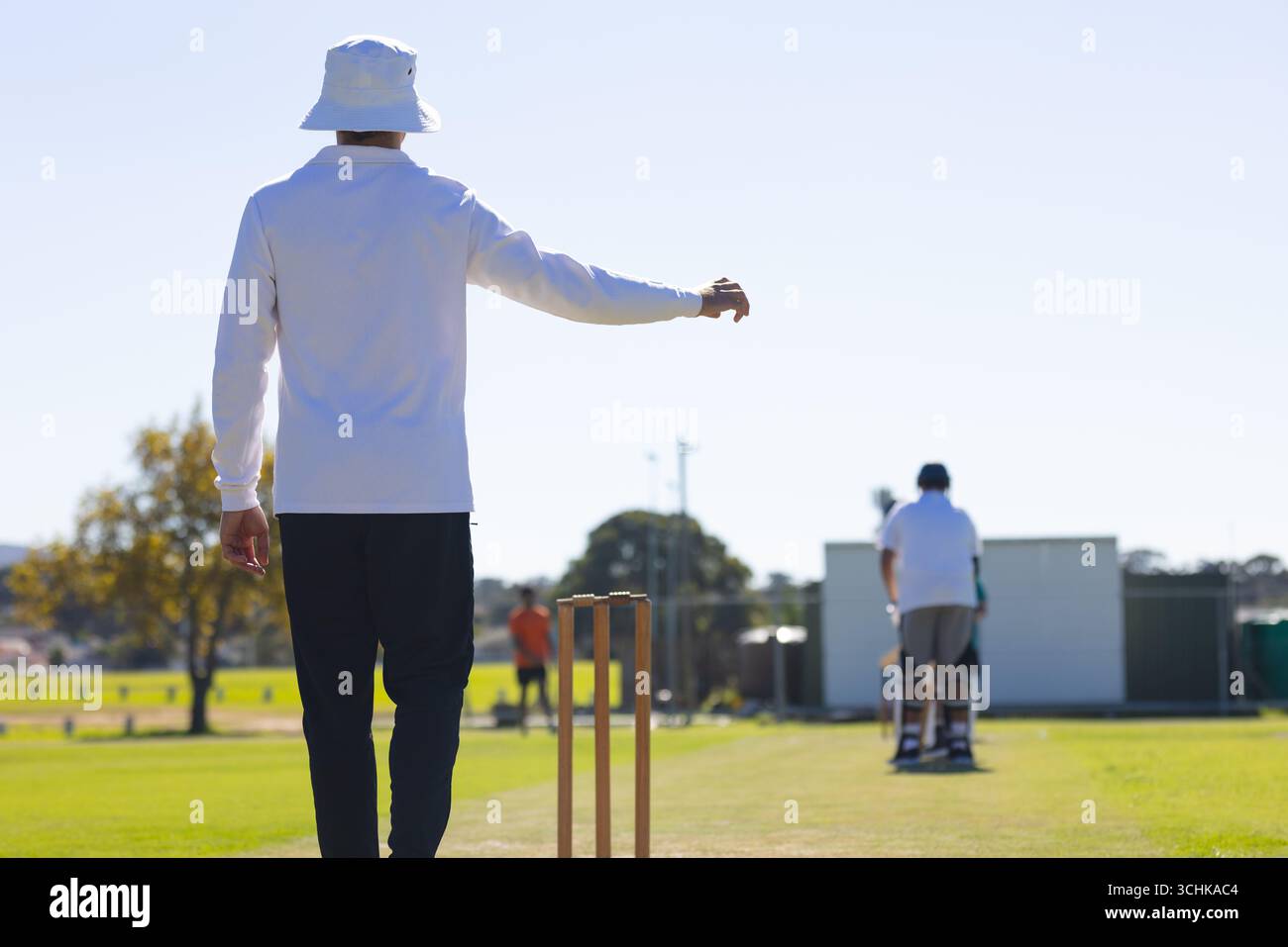 Cricket umpire and players signalling decision while standing on grass ...