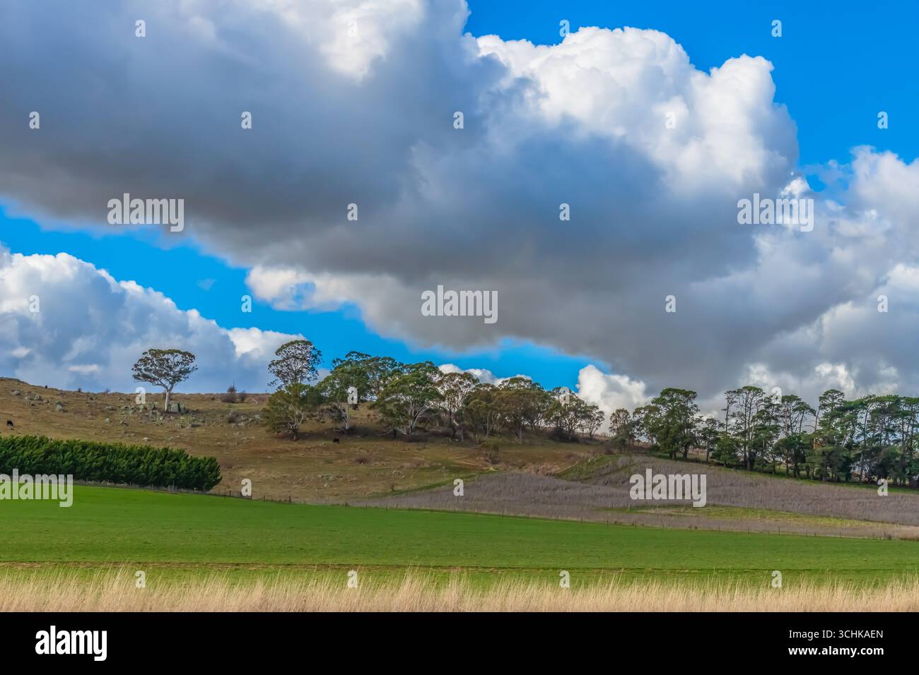 Winter views of the countryside between Blayney and Millthorpe in the ...