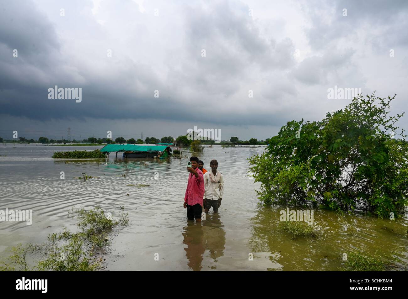 NOIDA, INDIA - SEPTEMBER 2: A general view of fields in sector 167 ...