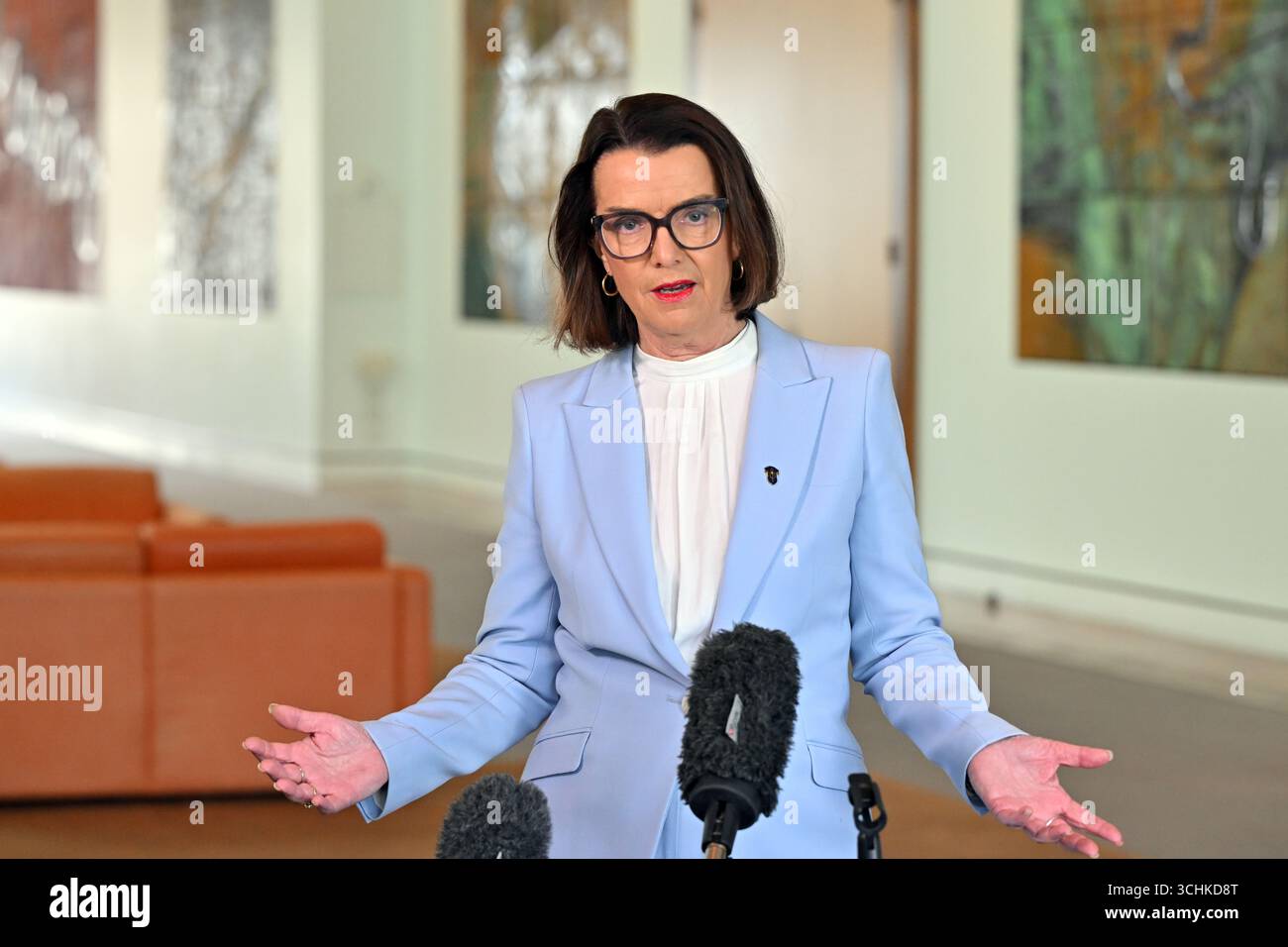Shadow Minister for Health Anne Ruston at a press conference at ...