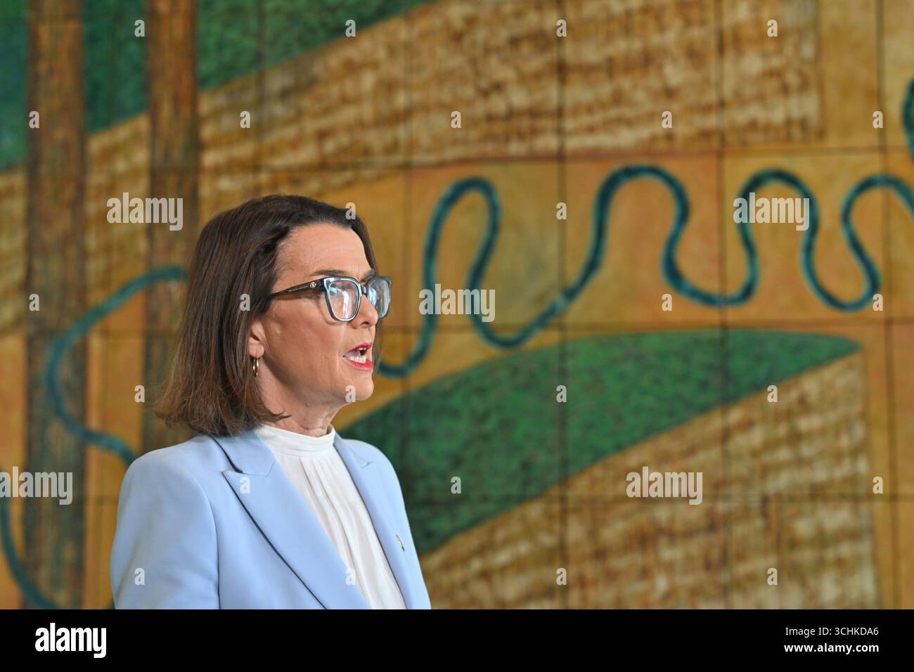Shadow Minister for Health Anne Ruston at a press conference at ...