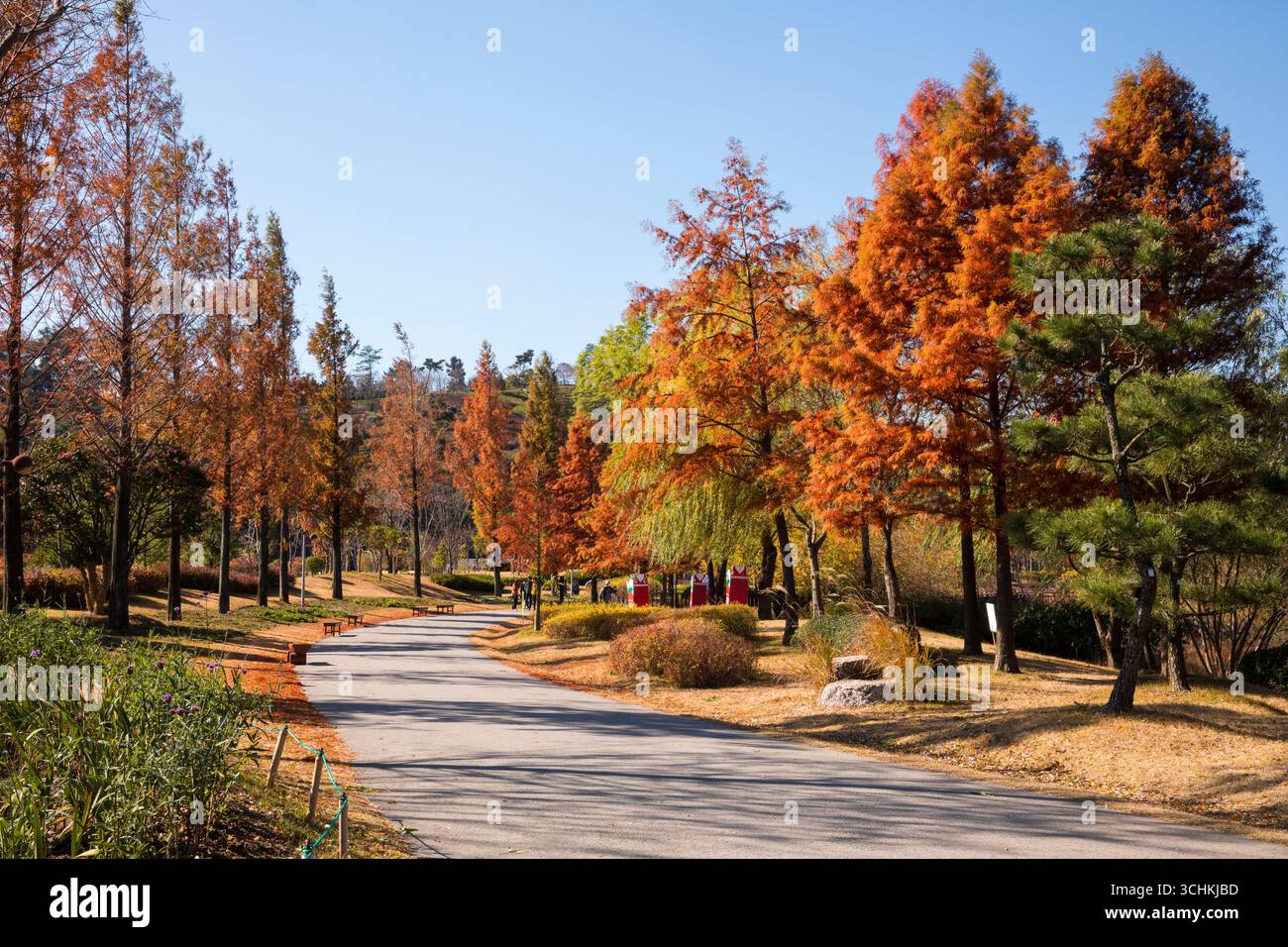 Unpaved trails hi-res stock photography and images - Alamy