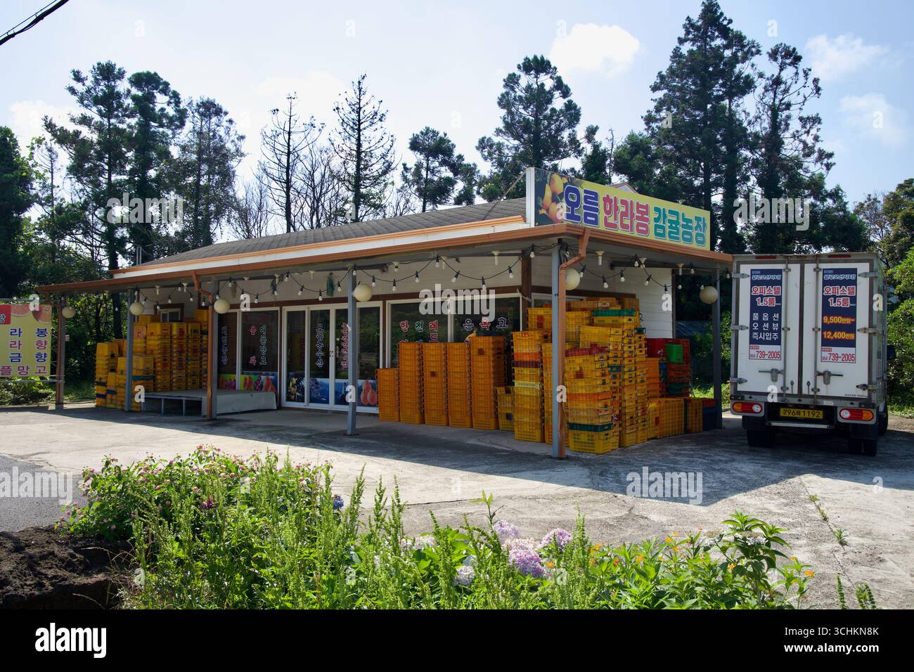 A roadside citrus shop and packing shed display stacks of orange crates ...