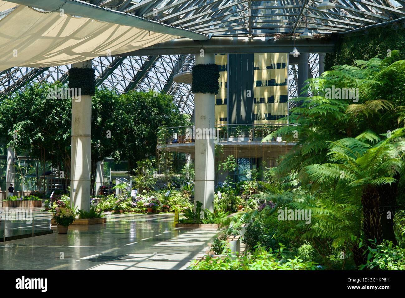 Inside Yeomiji Botanical Garden’s conservatory, shade sails and a steel ...