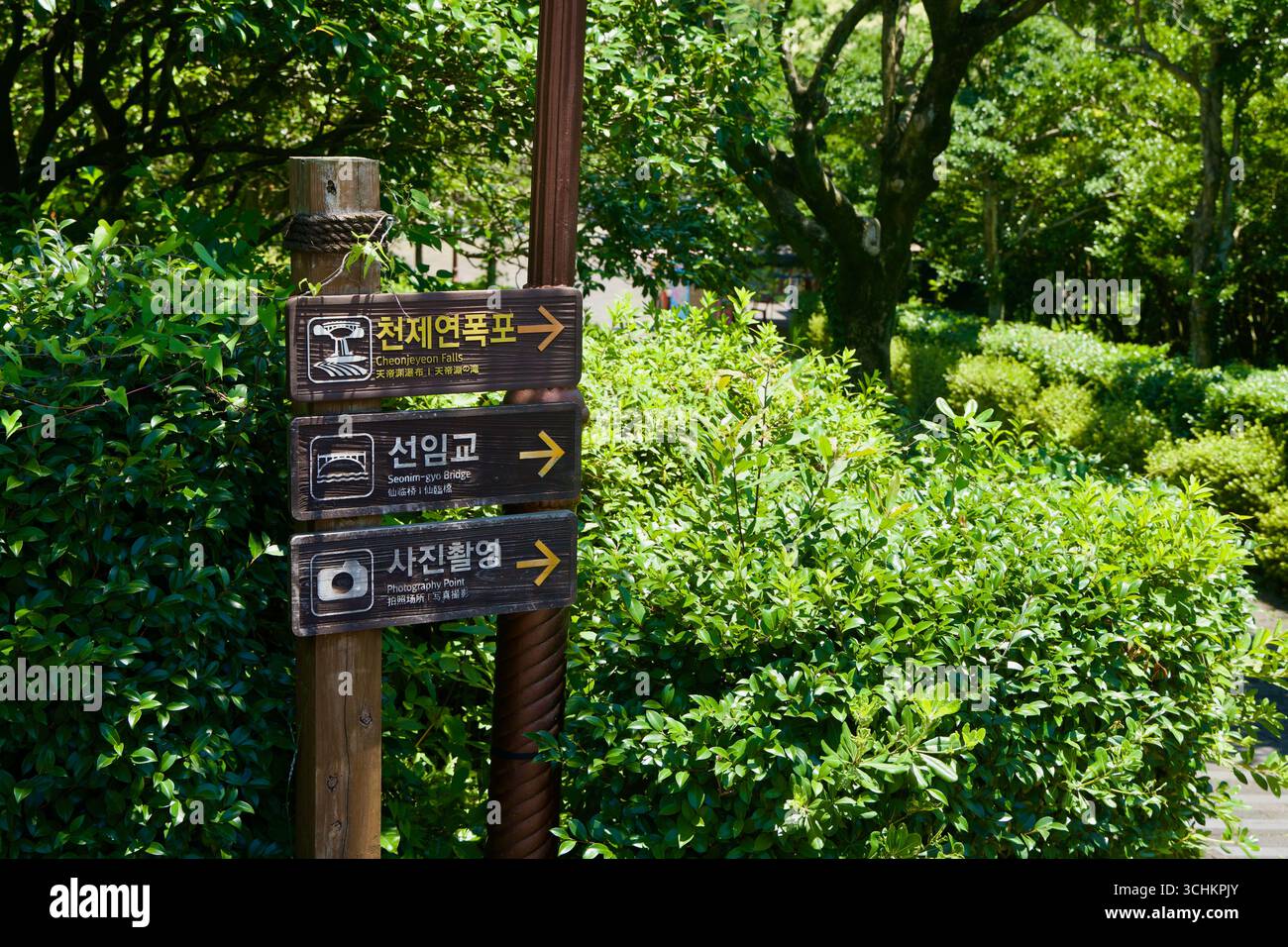Wooden wayfinding sign along hi-res stock photography and images - Alamy
