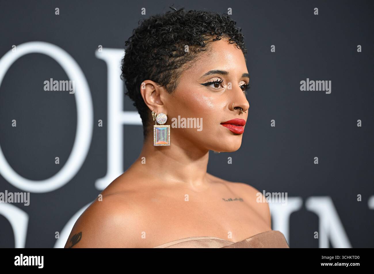 Nicque Marina attends 'The History Of Sound' New York Premiere at the ...