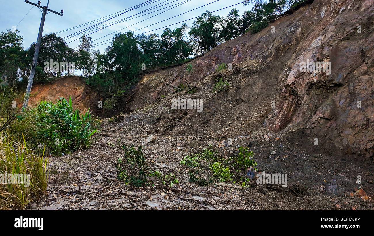 A rocky cliff with landslide debris, fallen trees, and mud after heavy ...