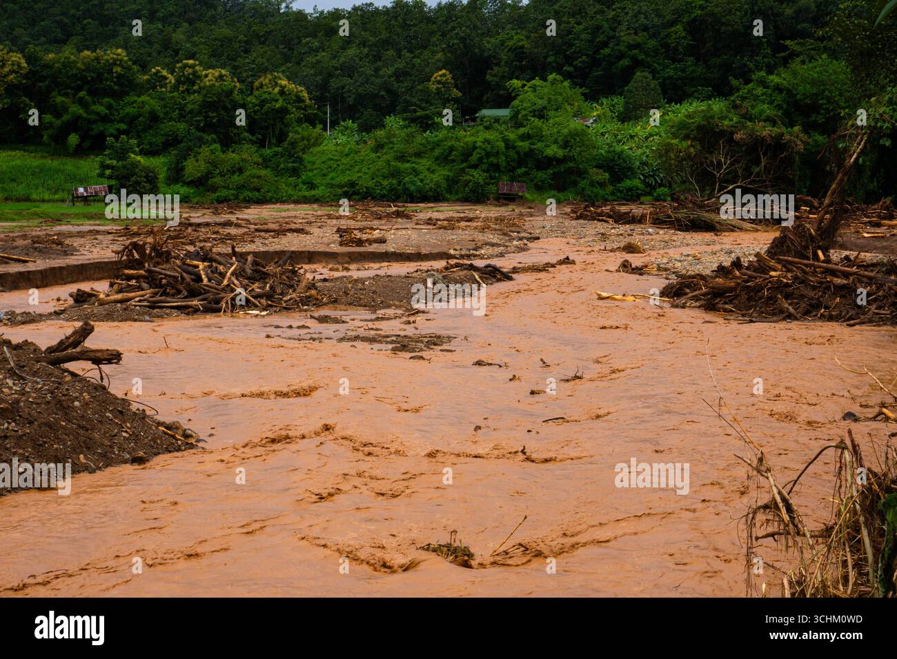 Carrying wet soil hi-res stock photography and images - Alamy