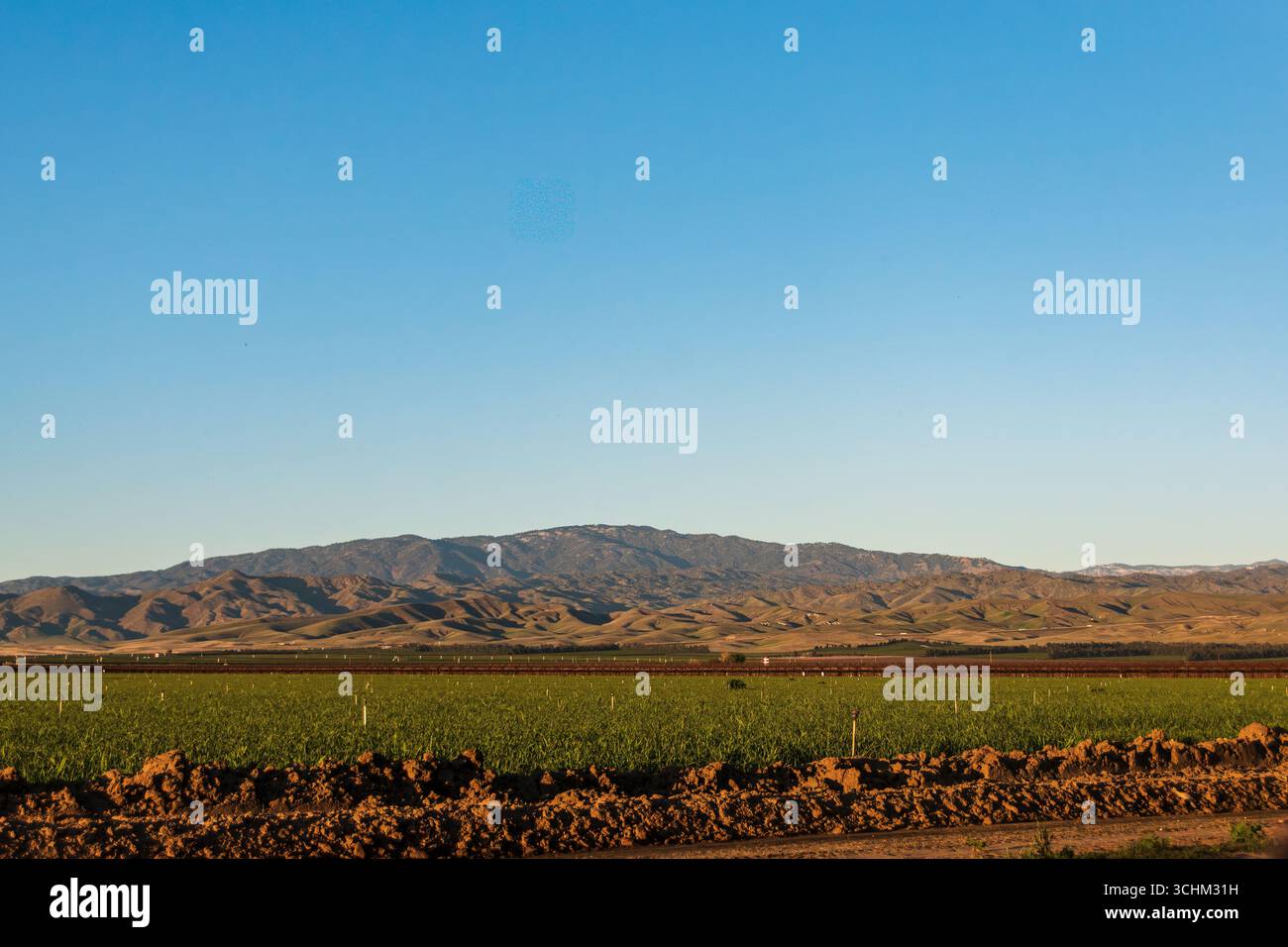 Bear Mountain during Winter Golden Hour Stock Photo - Alamy