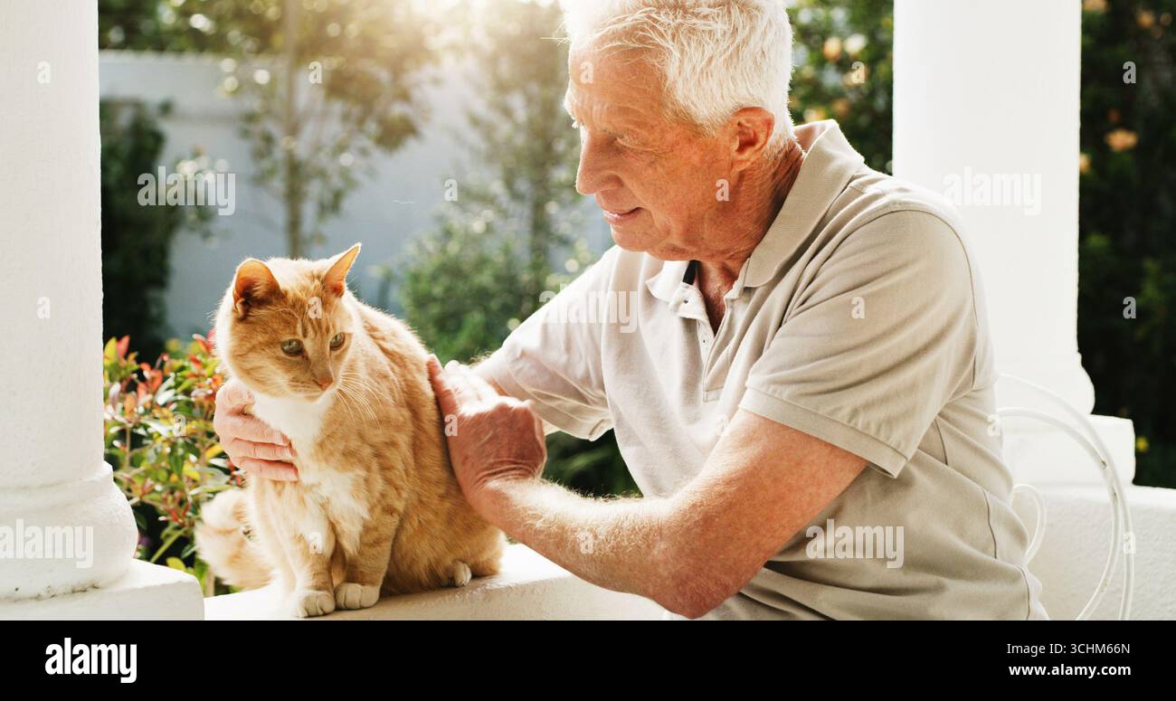 Relax, cat and happy with old man in garden of home for emotional ...