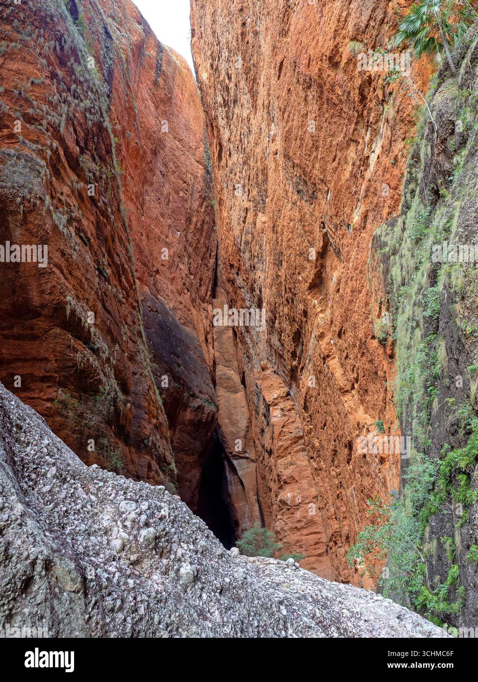 Mini Palms Gorge, Purnululu National Park Stock Photo - Alamy