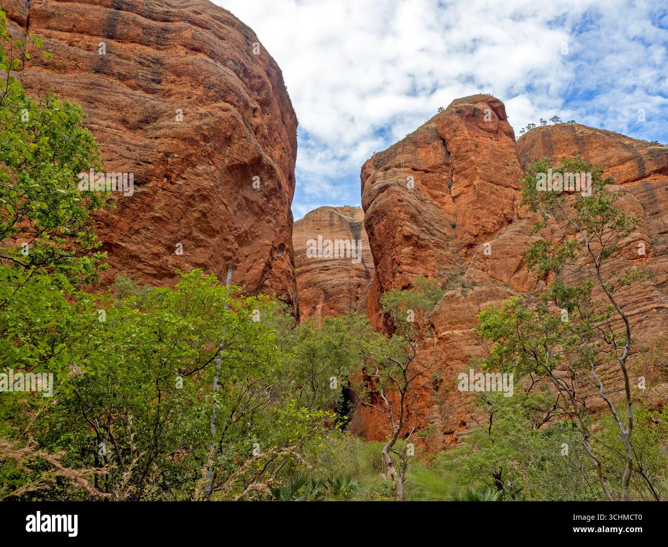 The mouth of Mini Palms Gorge, Purnululu National Park Stock Photo - Alamy