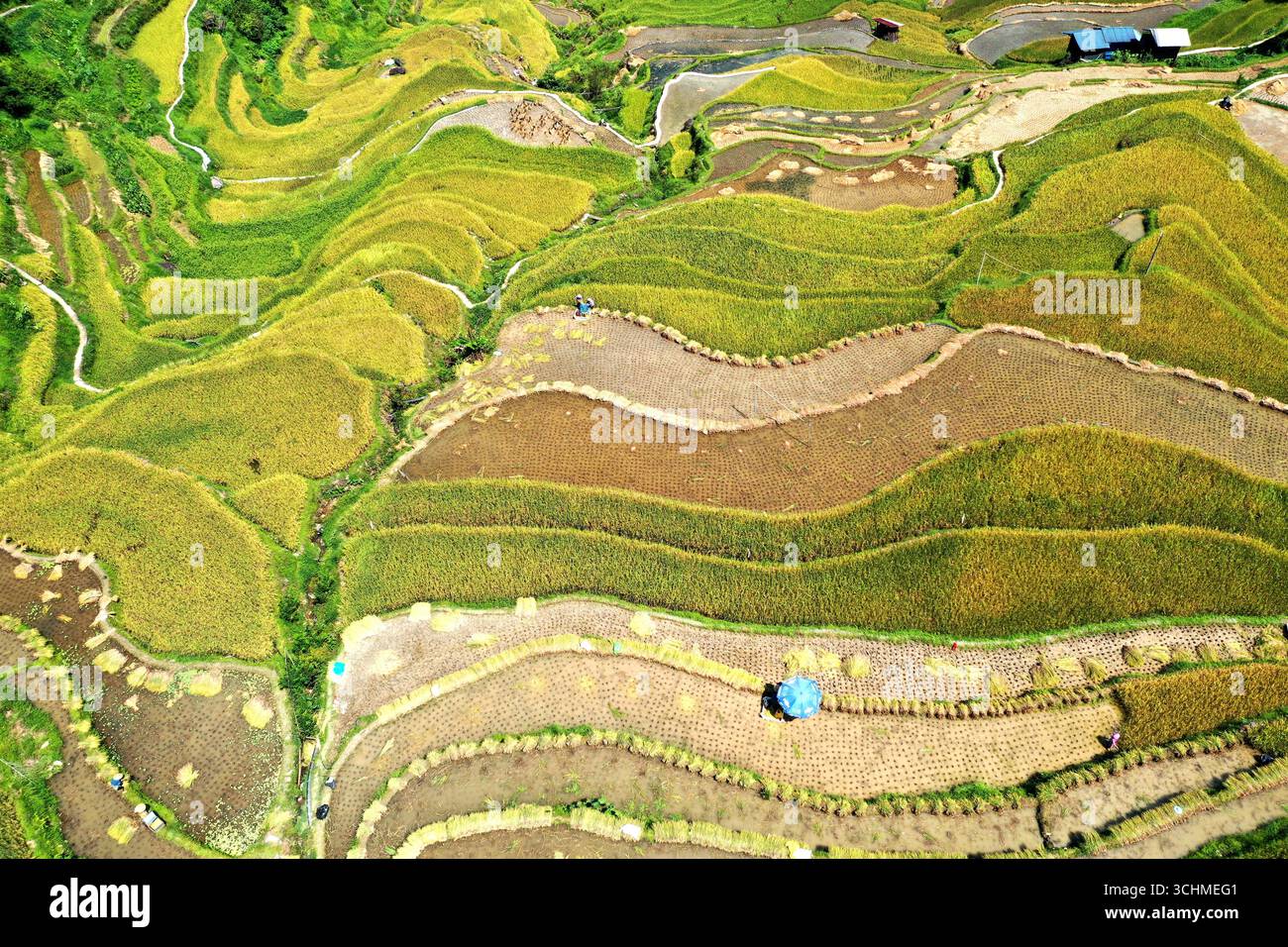 Aerial photo shows the terraced fields in Congjiang County, Qiandongnan ...