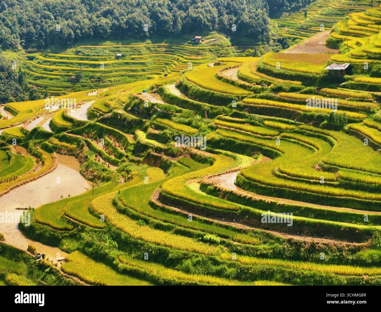 Aerial photo shows the terraced fields in Congjiang County, Qiandongnan ...