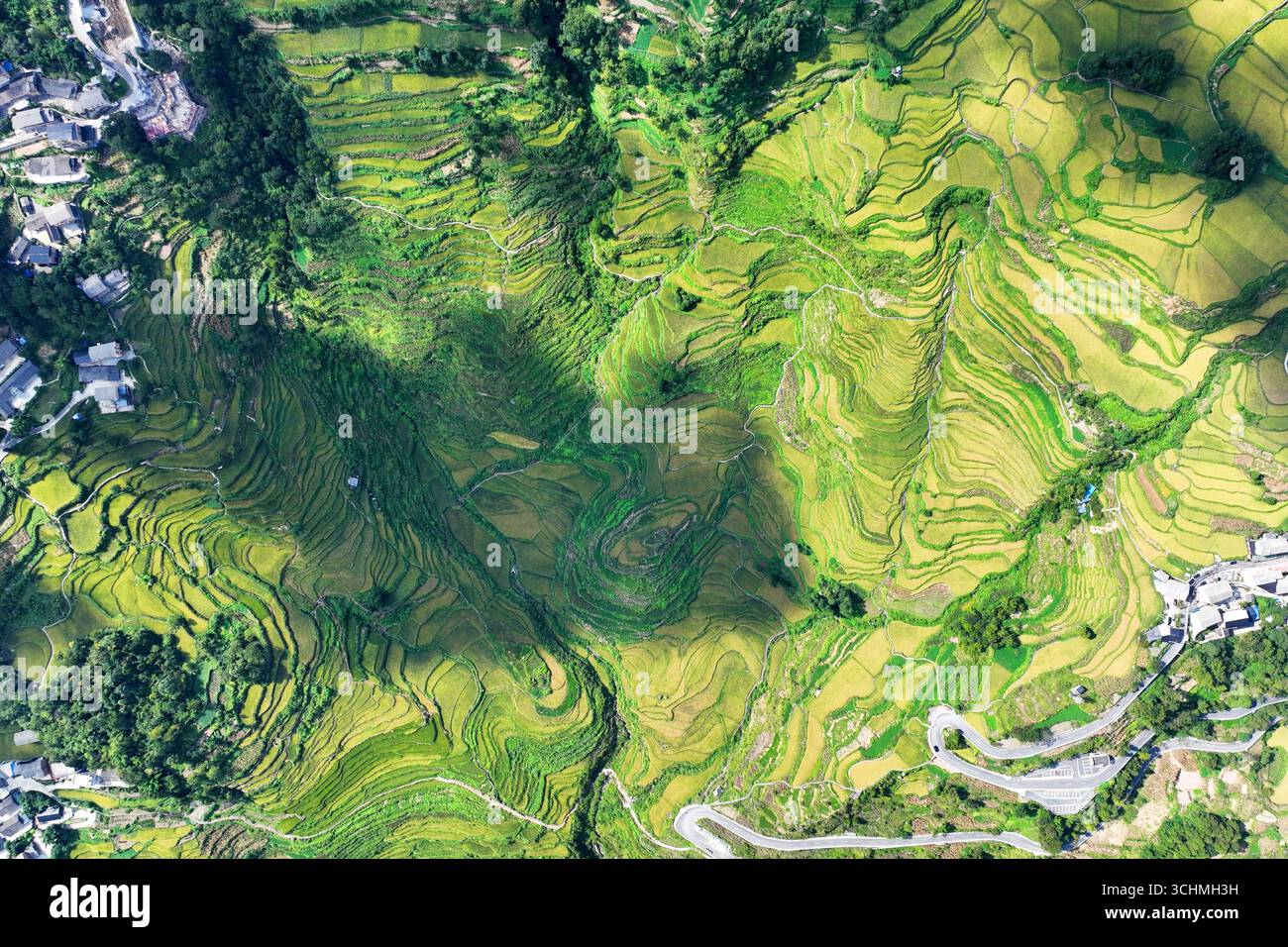 Aerial photo shows the terraced fields in Youyang County, Chongqing ...