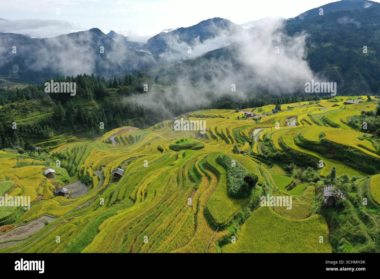 Aerial photo shows the terraced fields in Congjiang County, Qiandongnan ...