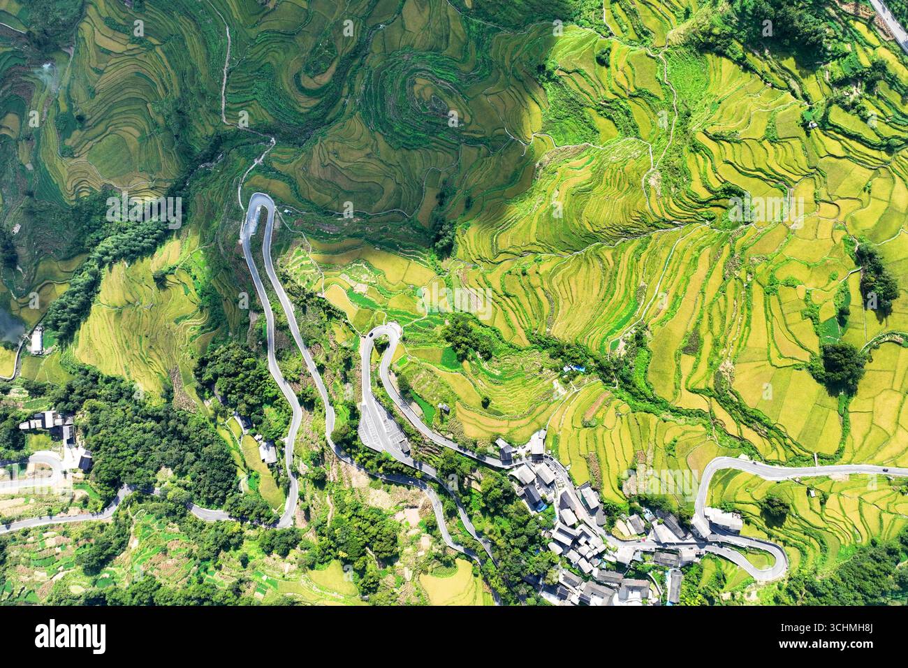 Aerial photo shows the terraced fields in Youyang County, Chongqing ...