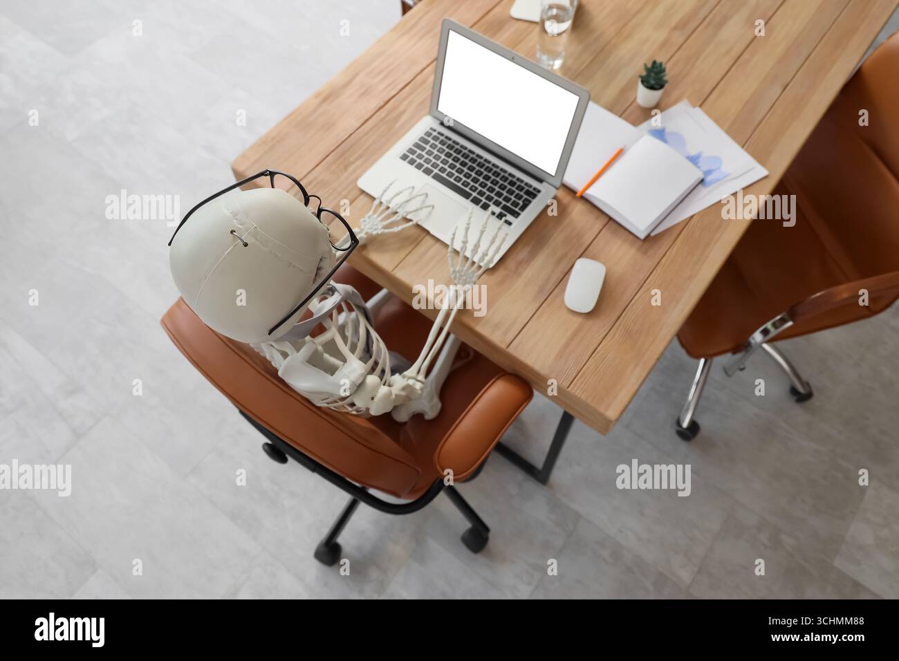 Human skeleton model at desk in office Stock Photo - Alamy