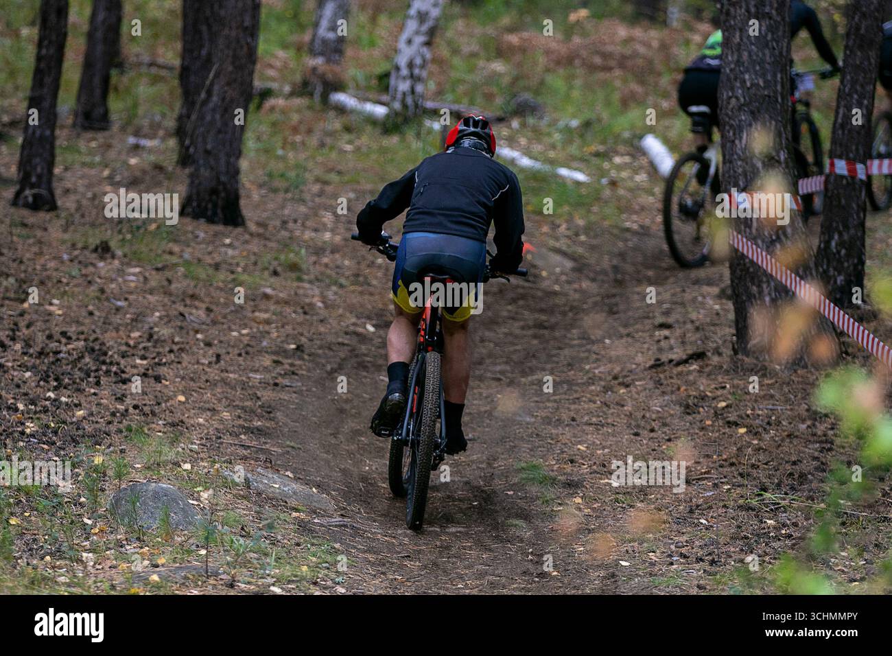 Rear view cyclist riding on autumn forest trail at mountain bike ...