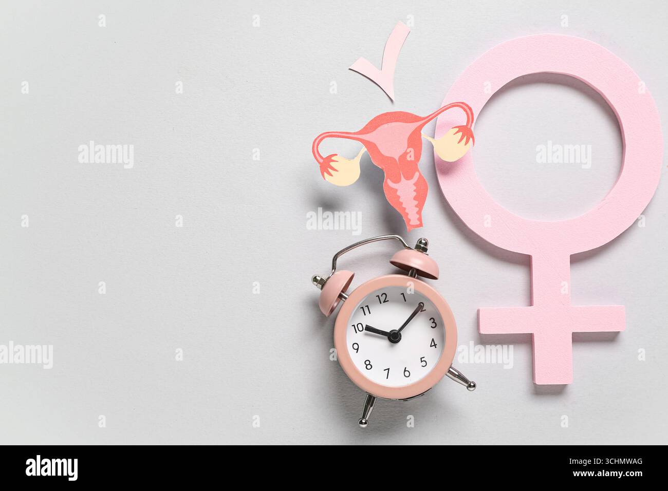 Paper uterus with check mark, symbol of woman and alarm clock on light ...
