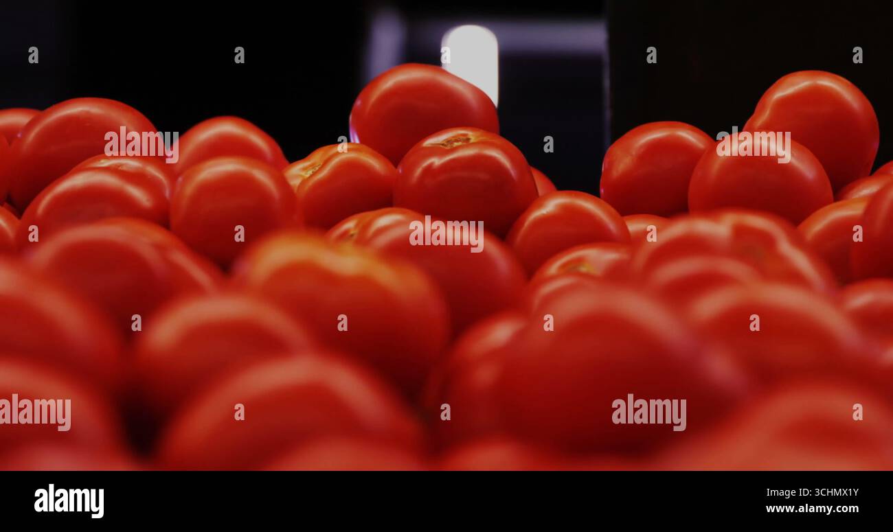 Displaying ripe red tomatoes piling together in produce section, with ...