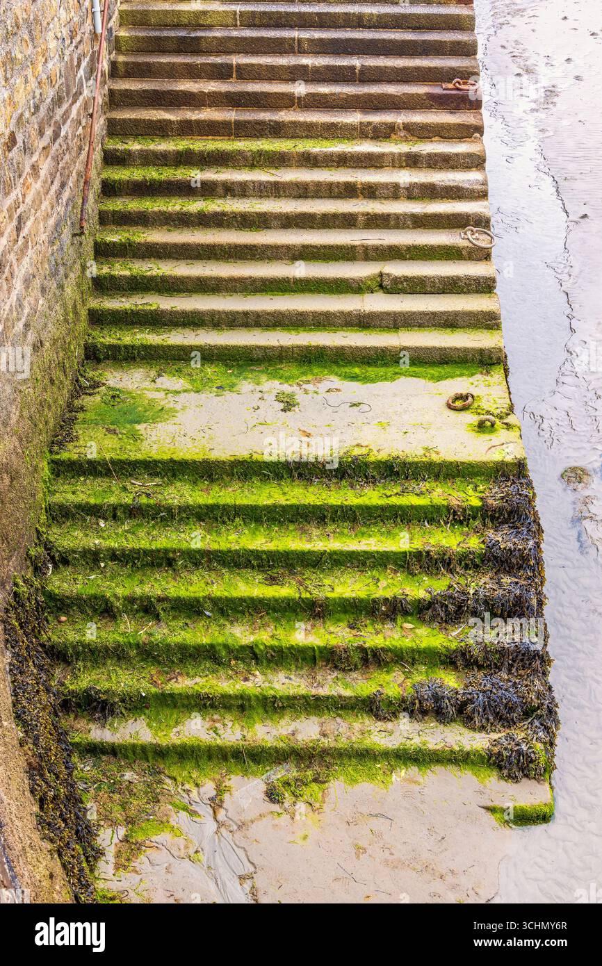 Stair on an old pier with green seaweed Stock Photo - Alamy