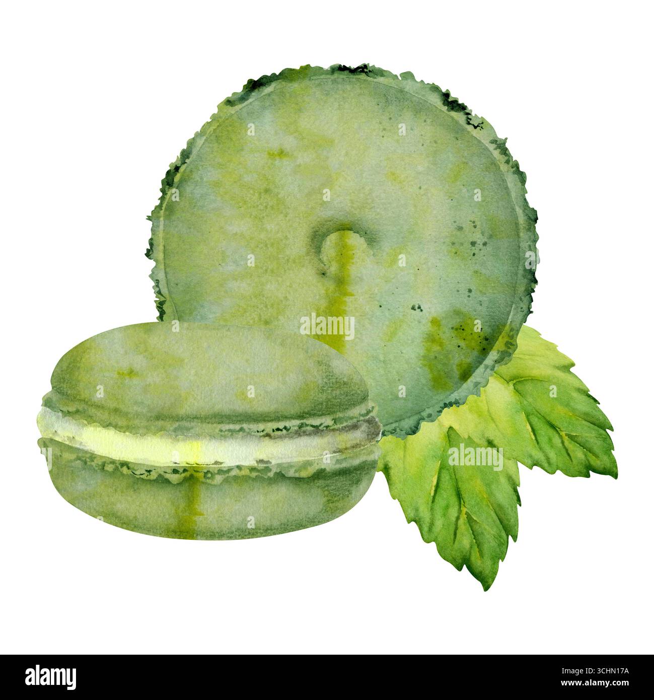 Mint leaves with French macarons, herb garnish for cream filled whoopie ...