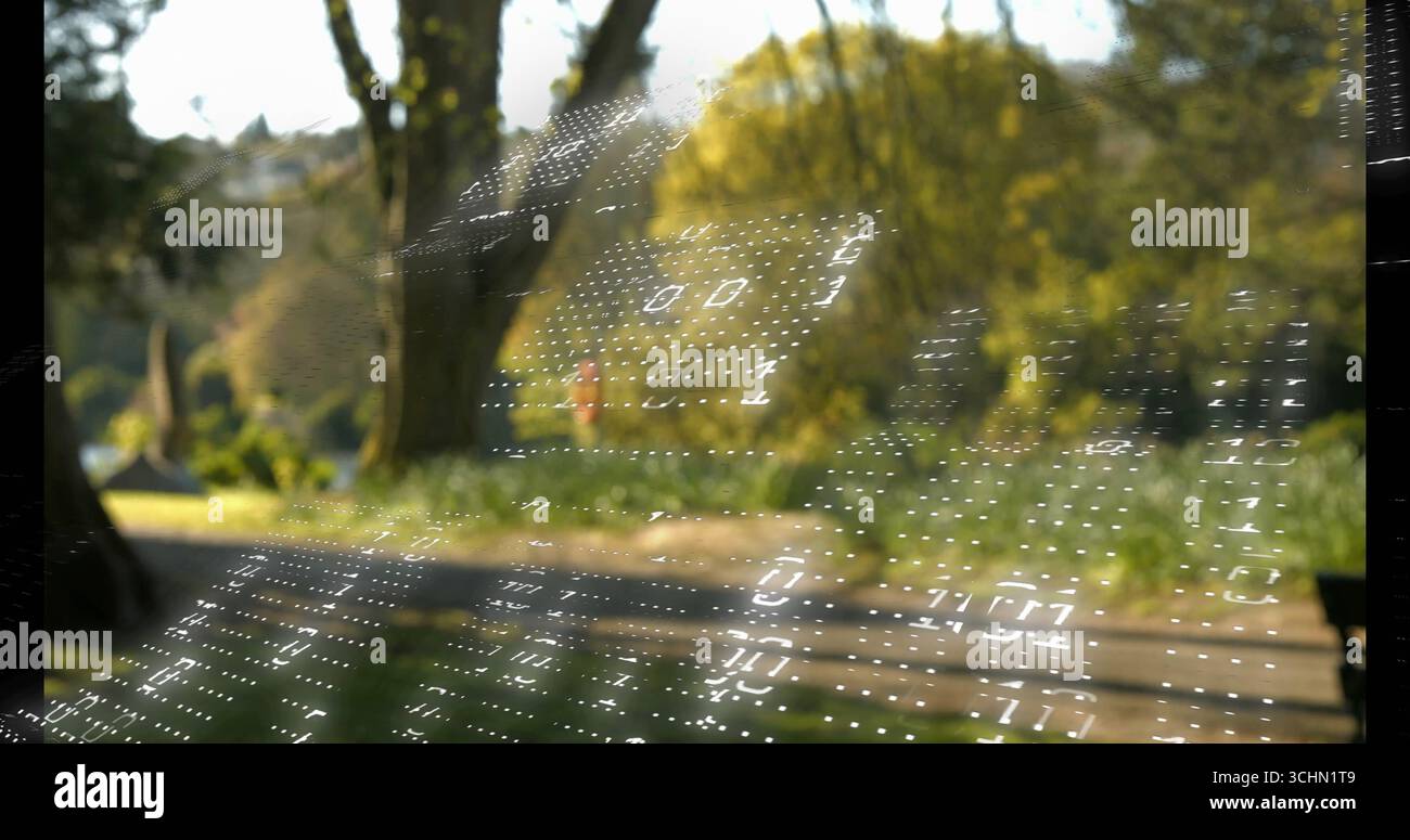 Floating 3D binary grid hovering over sunlit park path, with daffodils ...