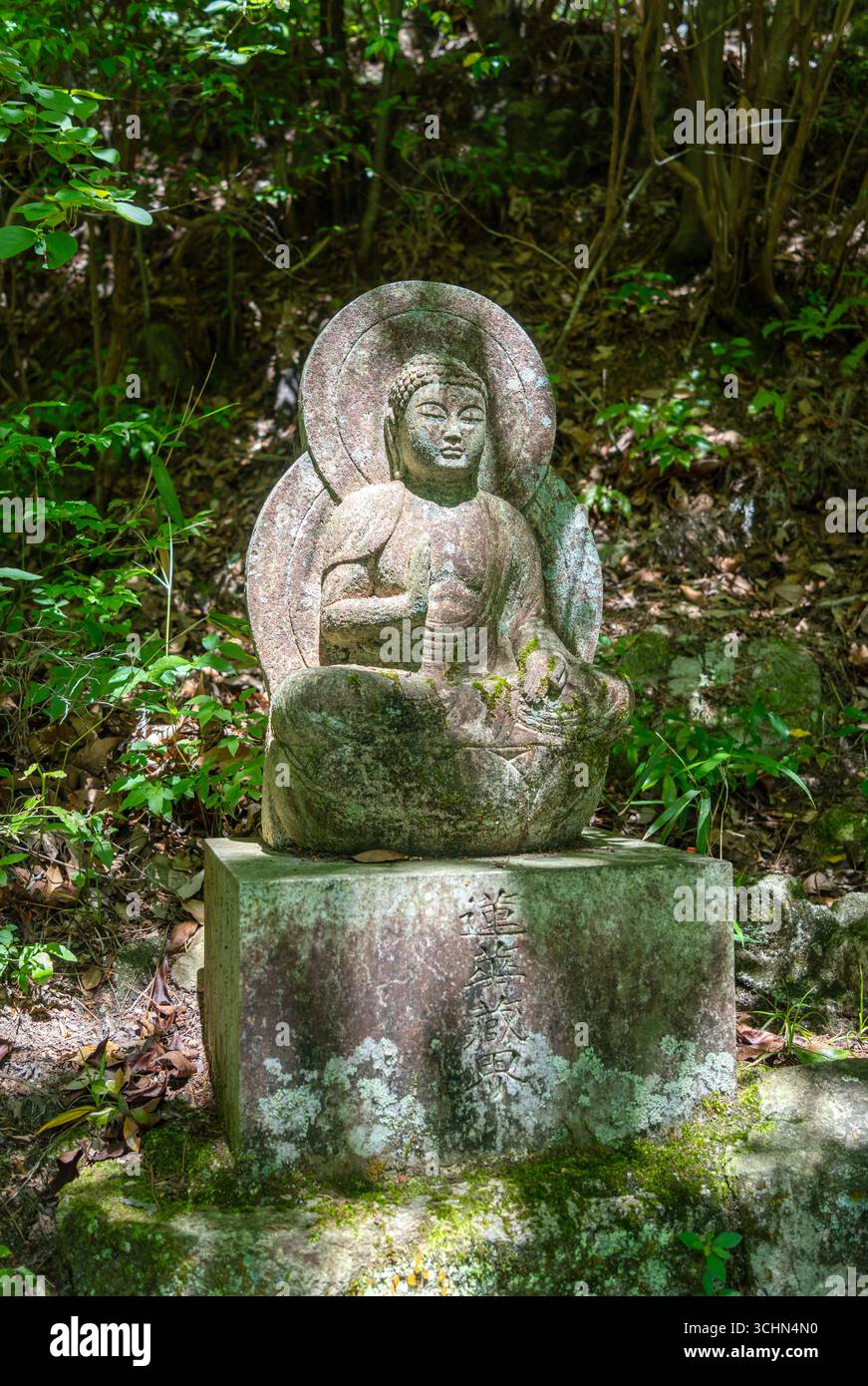 Serene stone statue of Amida Buddha seated in lush greenery at Mitaki ...