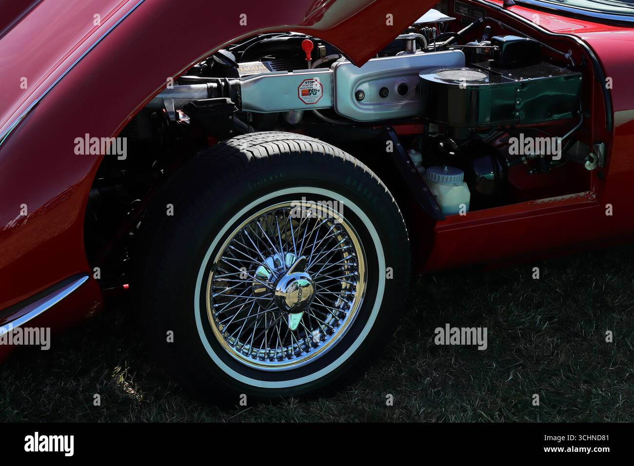 Stokes bay car rally hi-res stock photography and images - Alamy