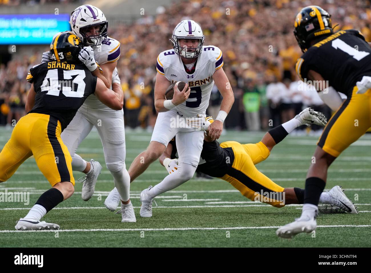 Albany quarterback Jack Shields (3) runs up field during the first half ...