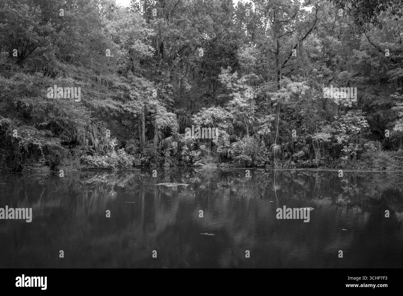 Body prints Black and White Stock Photos & Images - Alamy