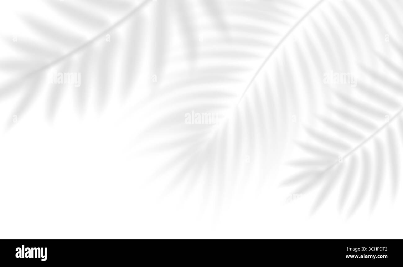 Realistic tropical palm shade overlay with realistic leaf silhouettes ...