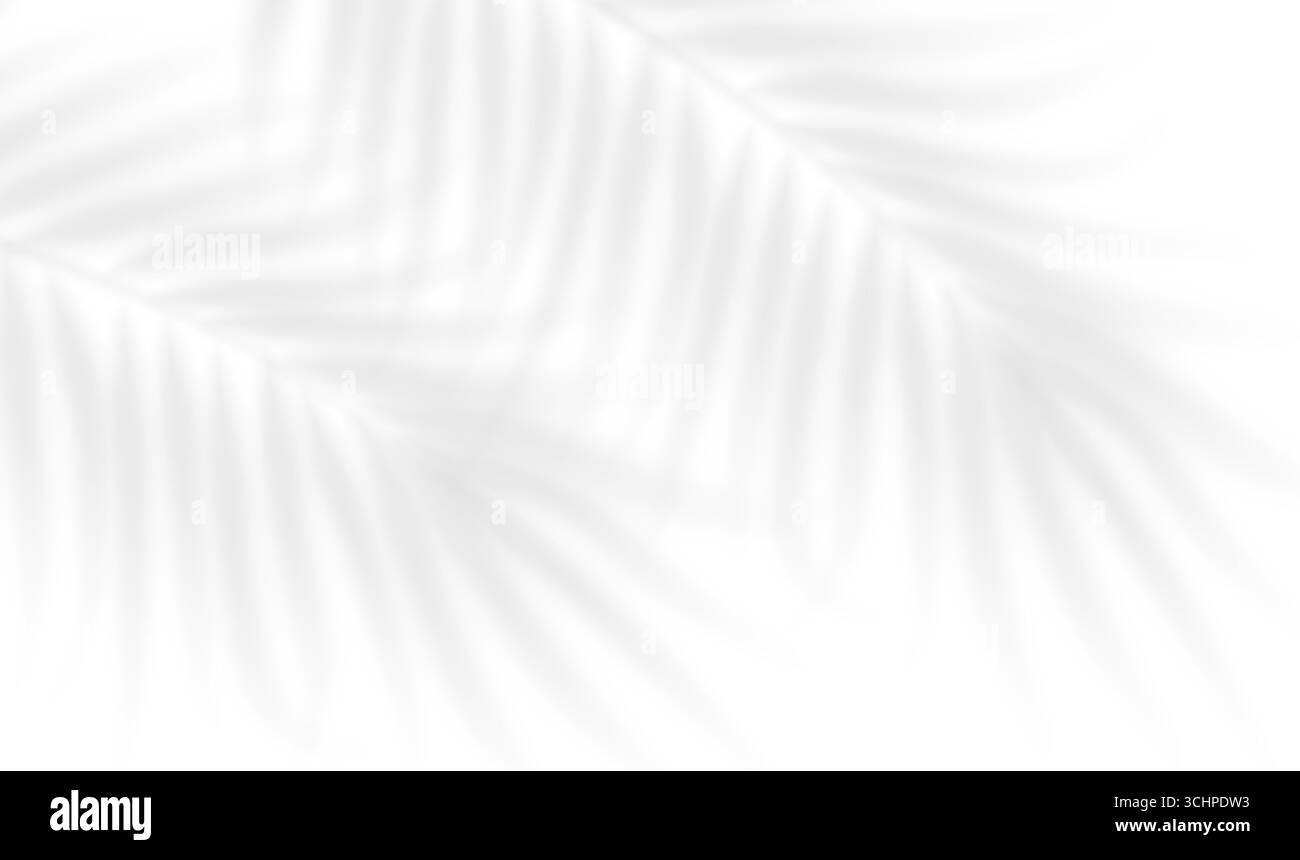 Tropical palm shadow overlay with realistic bamboo, fern leaves ...