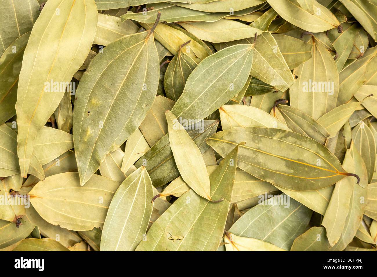 Dried bay leaves texture background. Bay leaf is a good source of ...