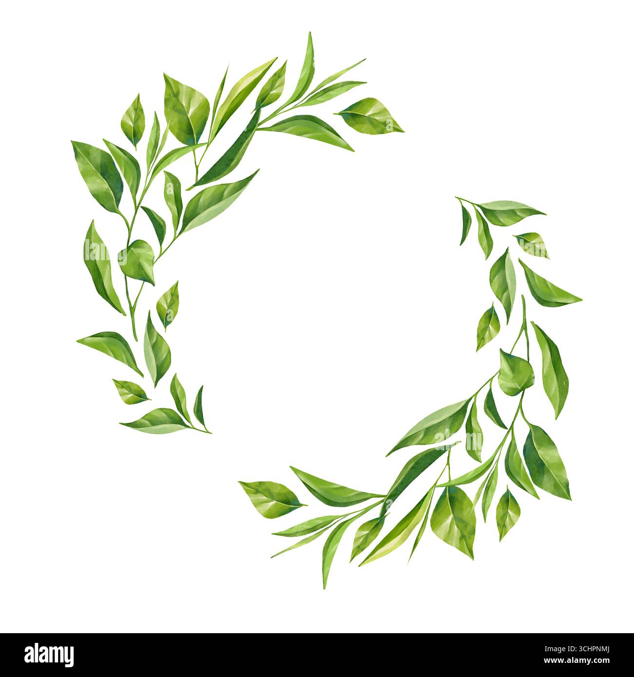 Modern logo frame leaves hi-res stock photography and images - Alamy
