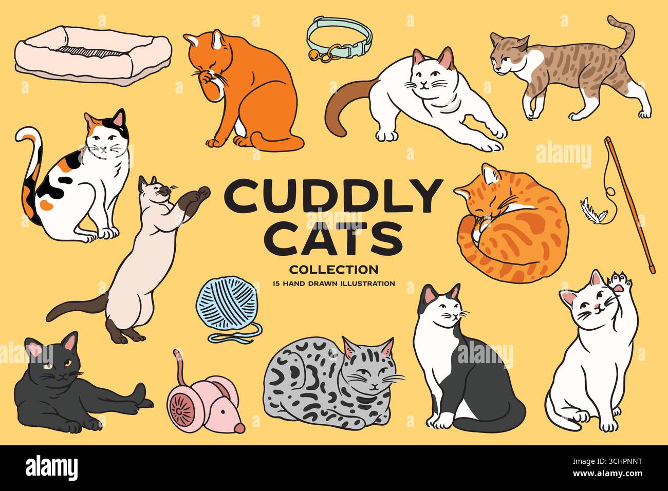 Cute domestic animals kittens Stock Vector Images - Alamy