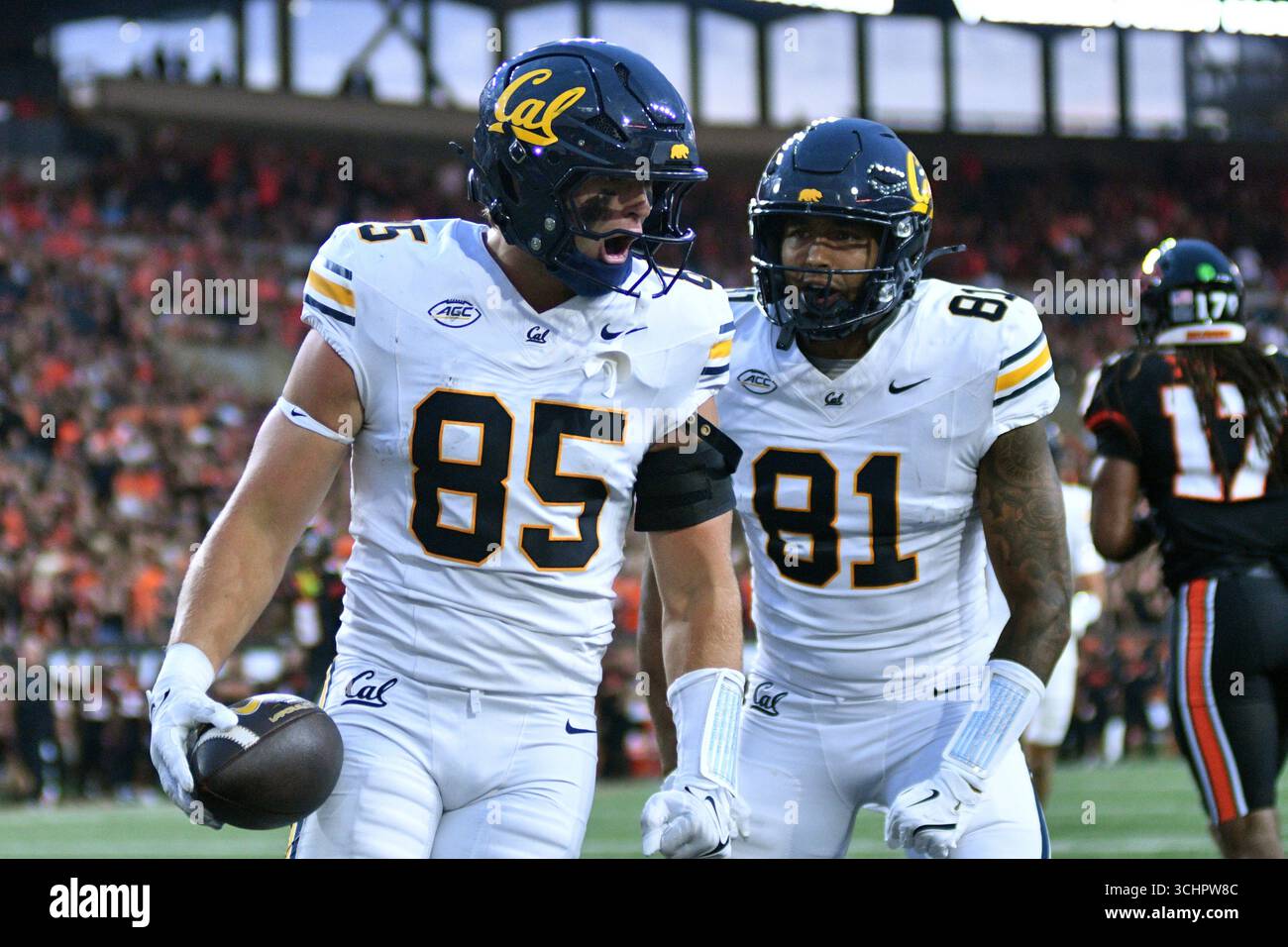 California tight end Mason Mini (85) celebrates his touchdown against ...