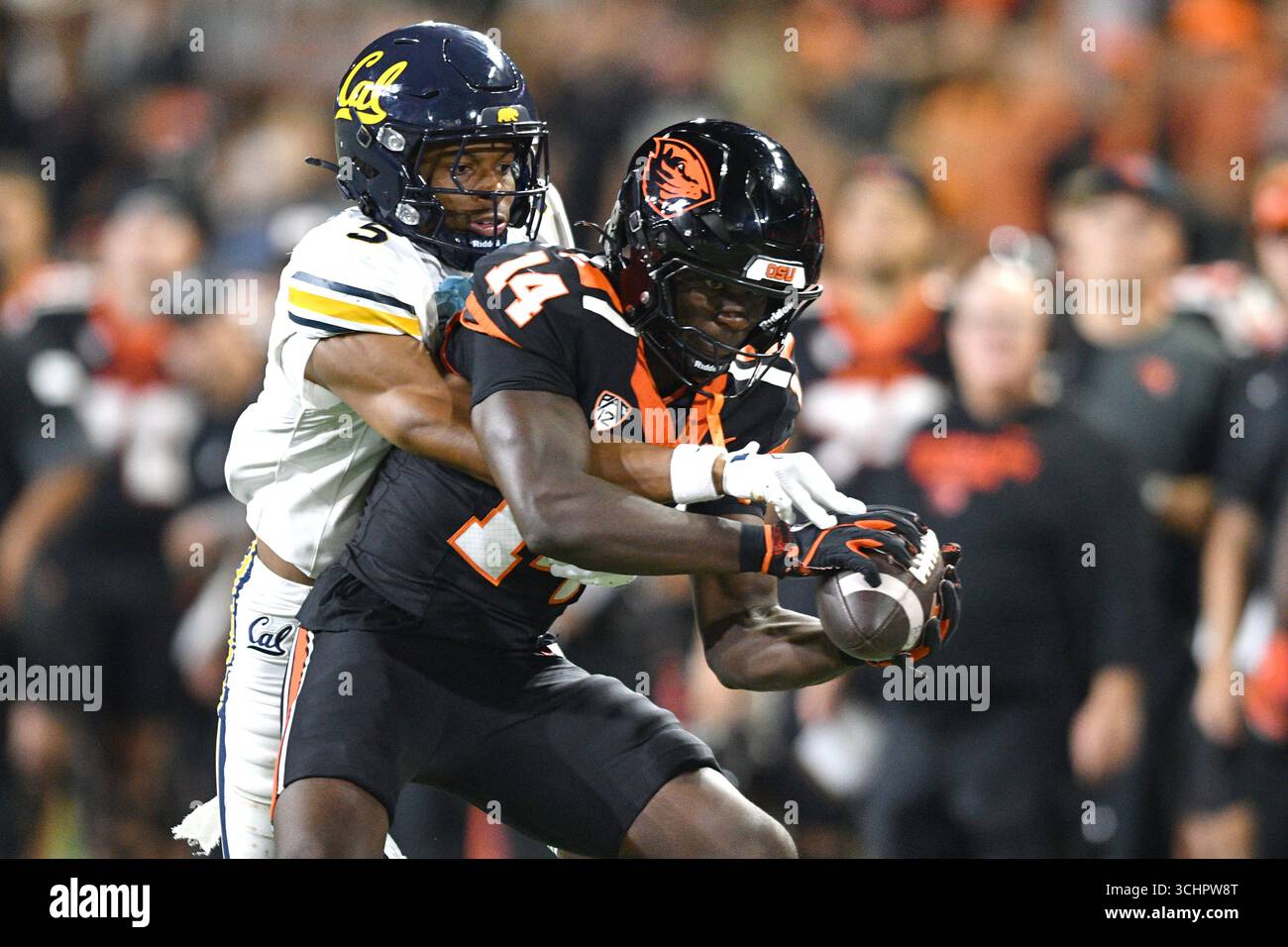 Oregon State B wide receiver Eddie Freauff (14) catches a pass in front ...