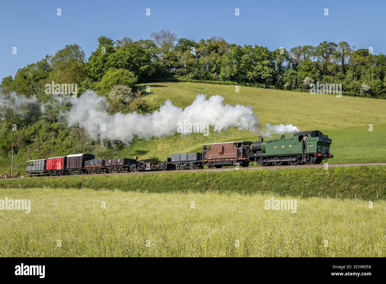 GWR '66xx' 0-6-2T No.6695 passes near Castle Hill on the West Somerset ...