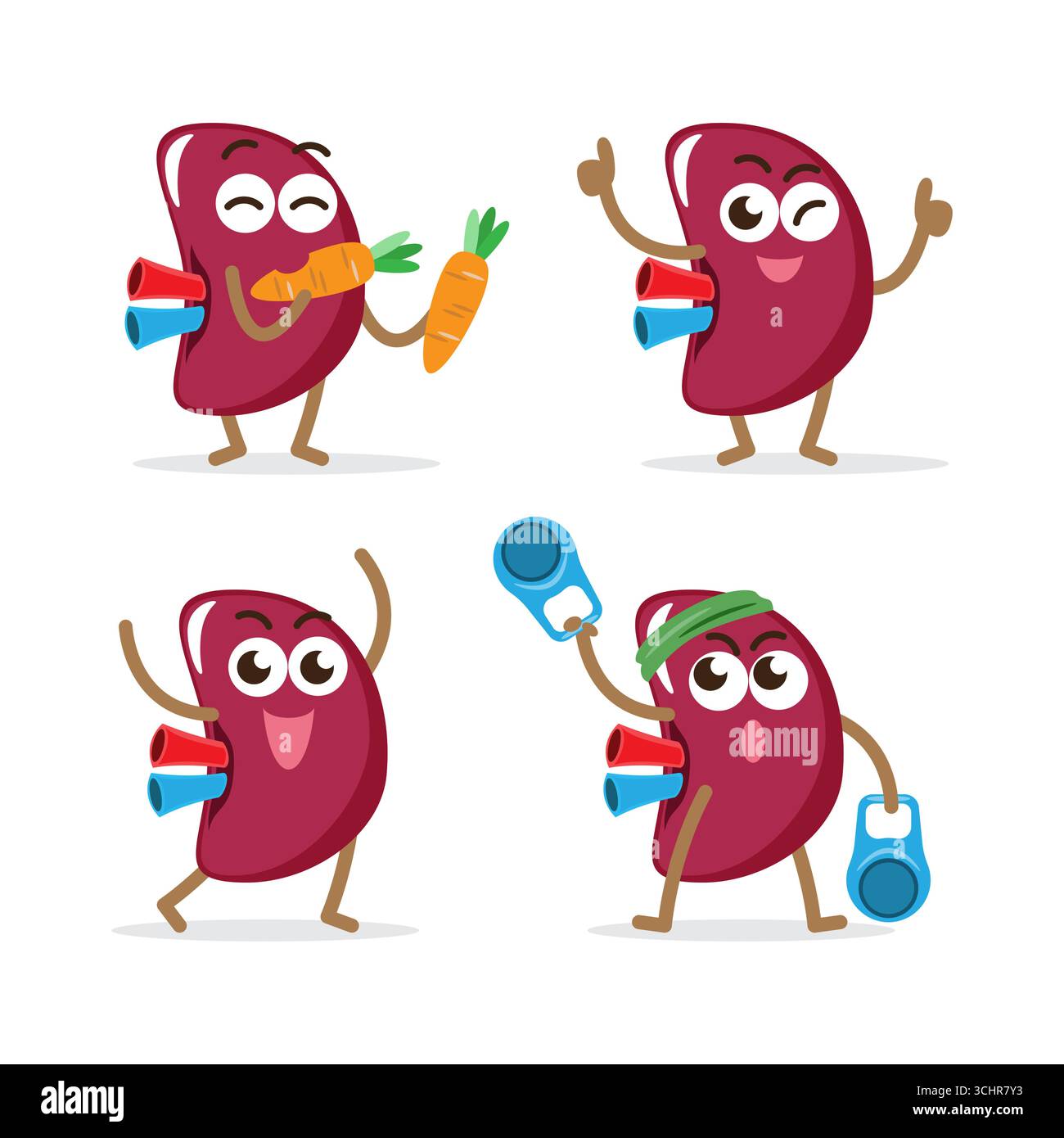 Healthy spleen cartoon characters collection on isolated white ...