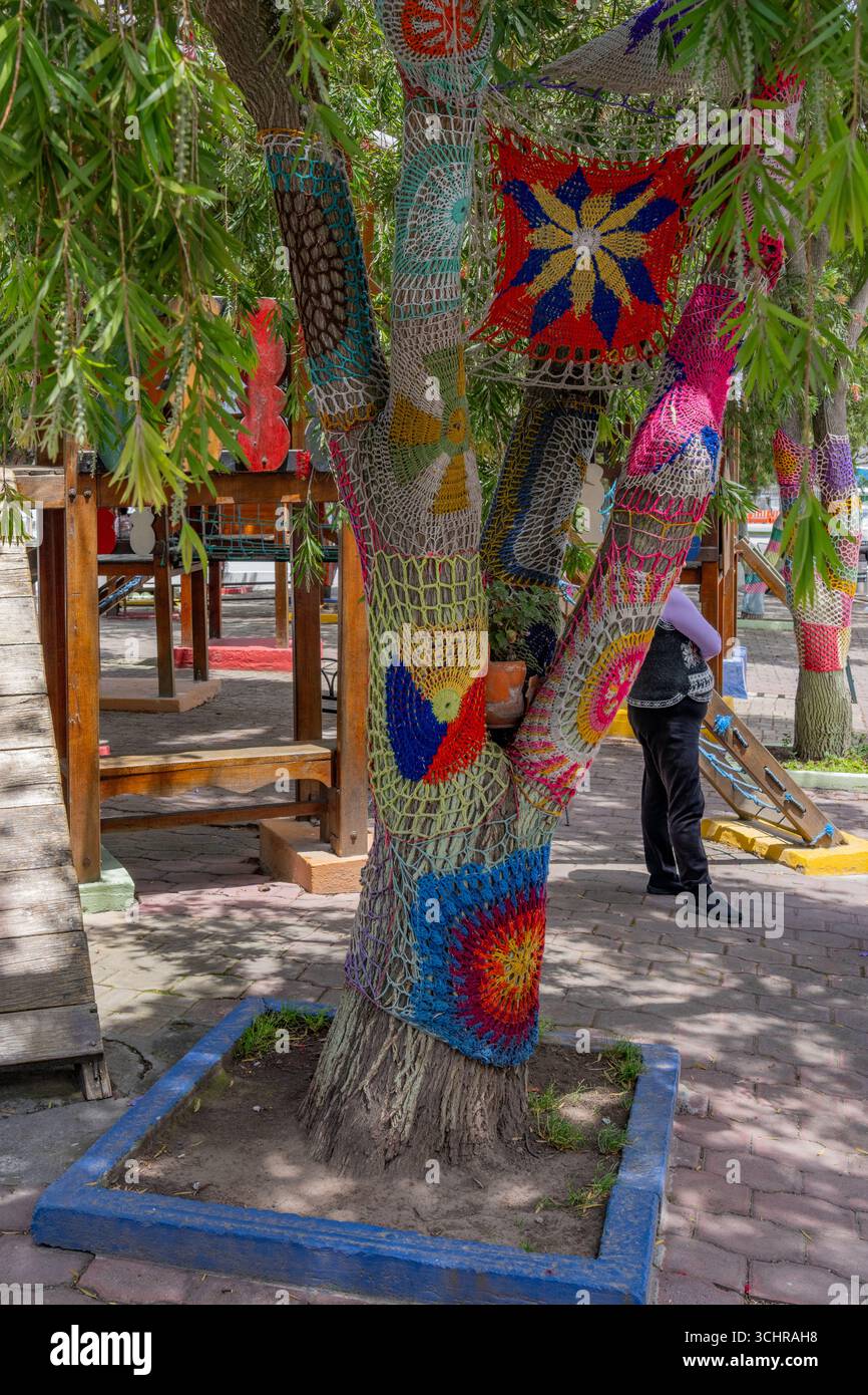 Crocheted decorations on a Bottlebrush tree at the equator park in ...