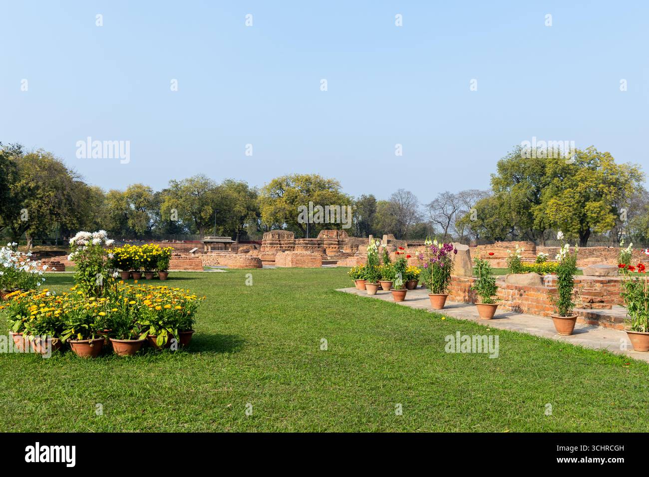 sarnath sacred ruins near varanasi india marking buddha first sermon ...